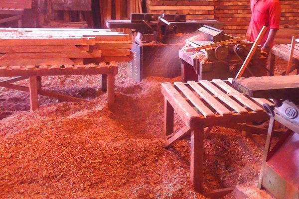 Wood Dust Cancer - Causes, Symptoms - Women Fitness Magazine