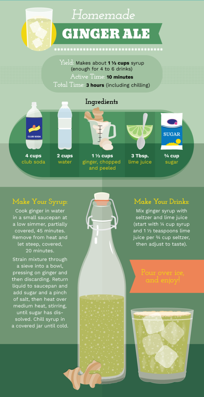 Beginner's Guide to Making Soda