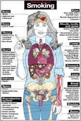 5 Organs Get Mostly Affected by Smoking