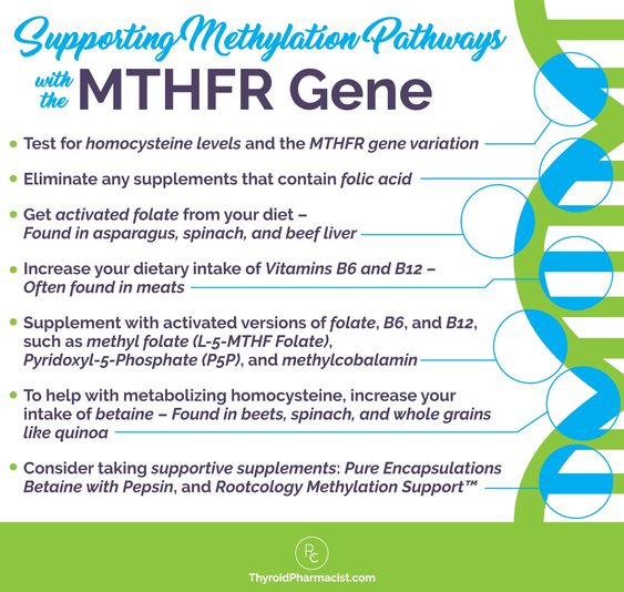 What MTHFR is and Why You Should Get Tested?