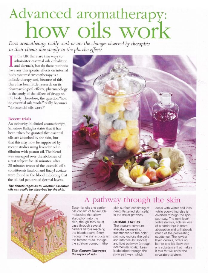 Scented Oil 101: How Aromatherapy Works