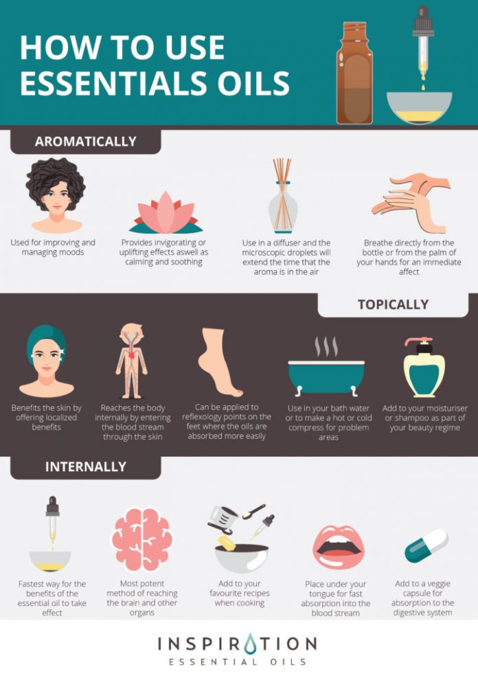Scented Oil 101 How Aromatherapy Works