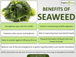 Health benefits of seaweed - Women Fitness Magazine