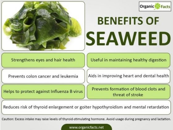 Health benefits of seaweed - Women Fitness Magazine