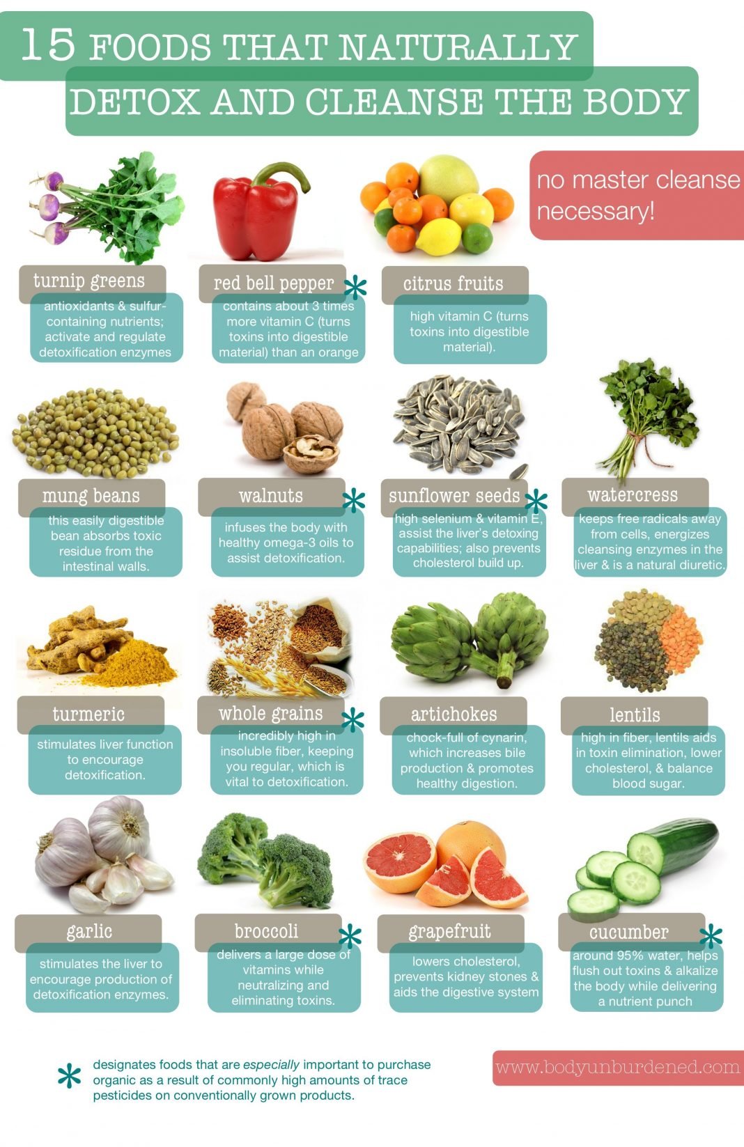 Easy Tips to Get Rid of Toxins - Women Fitness Magazine