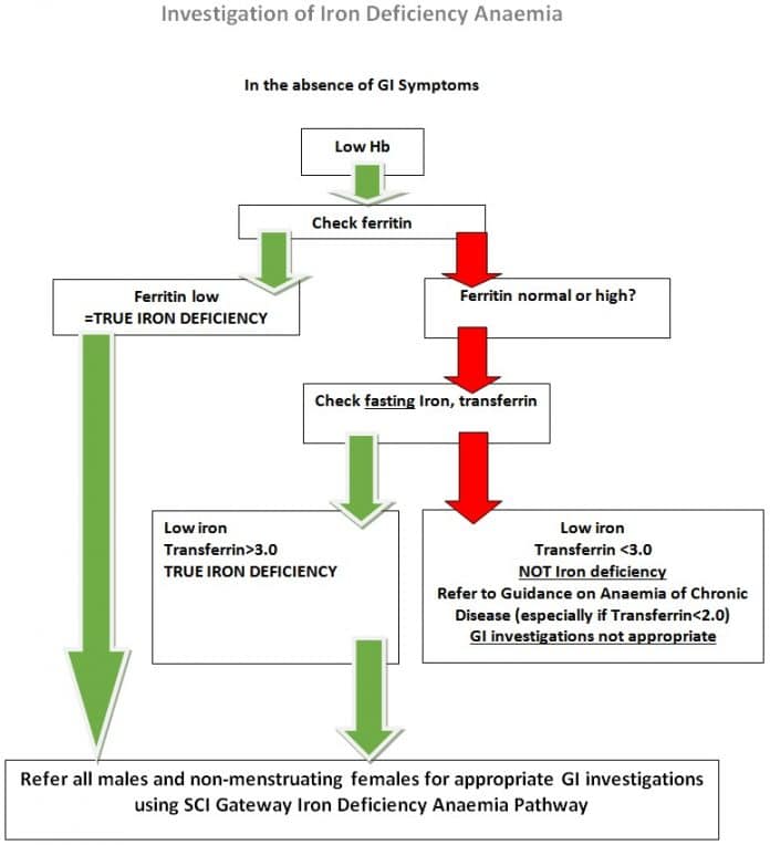 Iron for Support In Anaemia