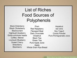 Everything You Need to Know About Polyphenols