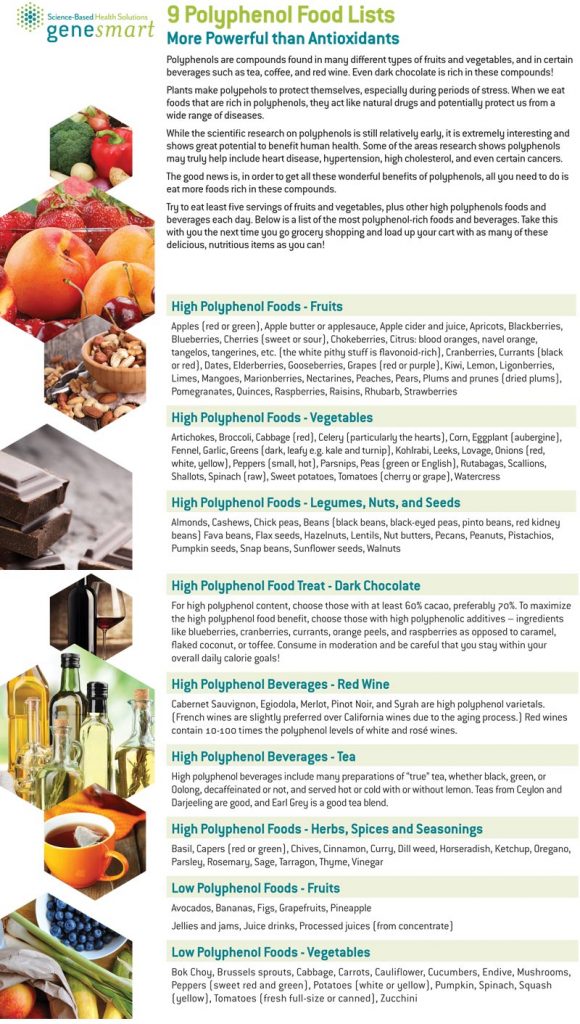 Everything You Need to Know About Polyphenols
