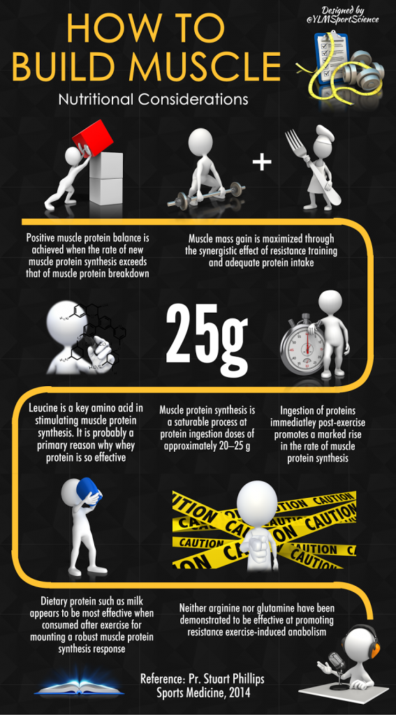 Learning How to Build Muscle for Women