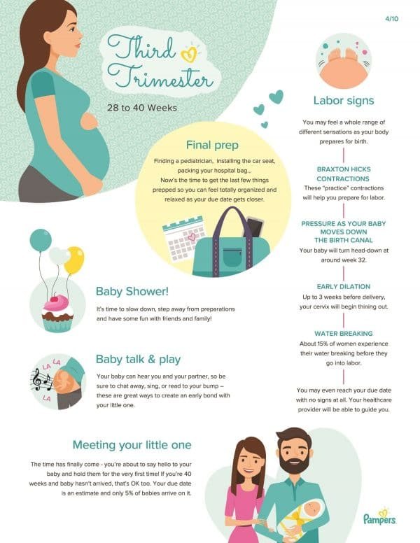 Third Trimester Of Pregnancy