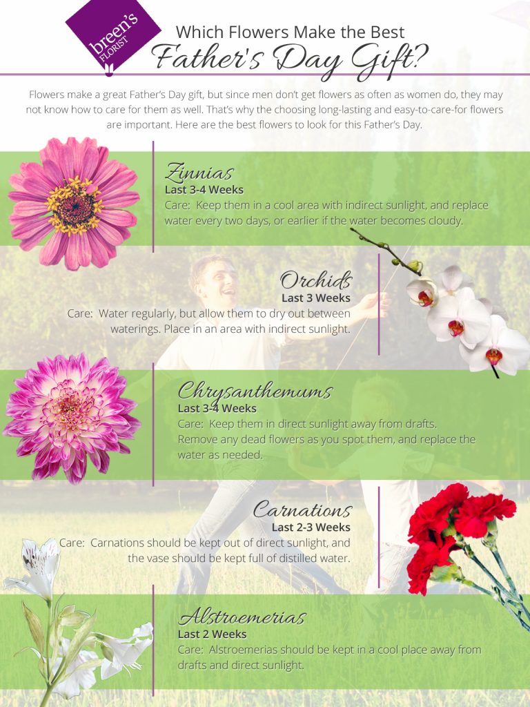 Quotes You Can Write on Father's Day Greeting Cards