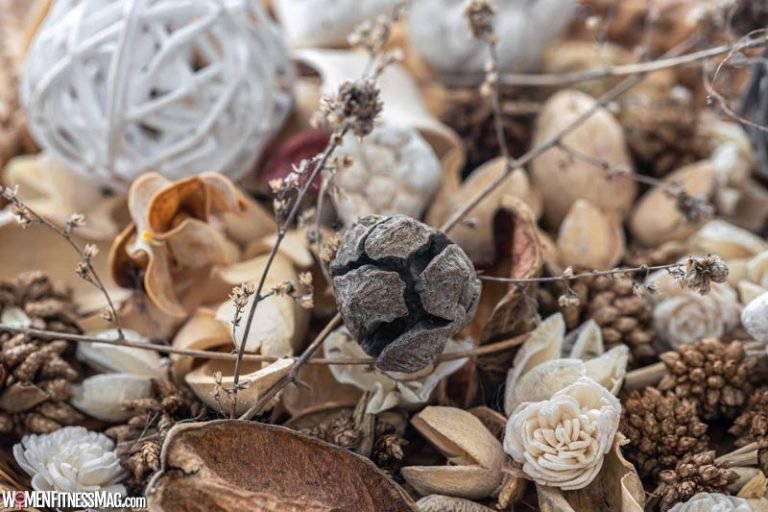 How Can Preserved Dry Flowers Be a Token of Your Creativity?