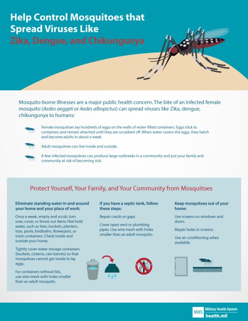 Mosquito Season Alert: How to Keep Those Pesky Insects at Bay