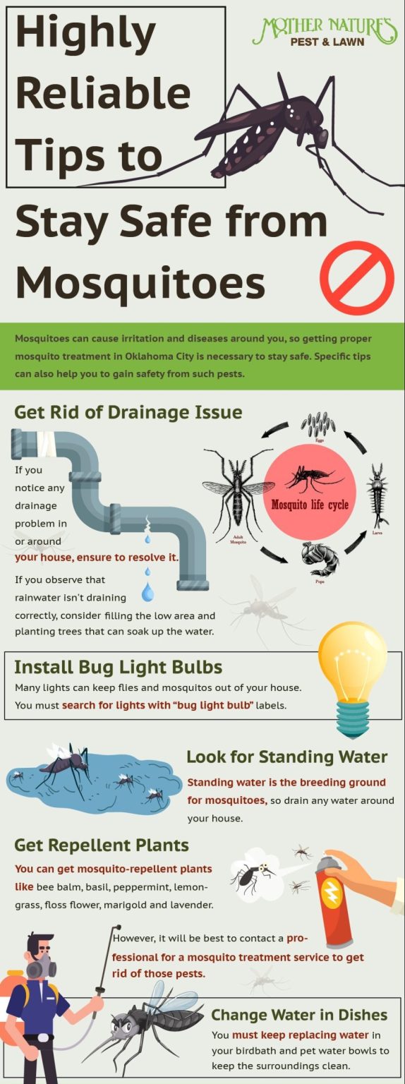 Mosquito Season Alert: How to Keep Those Pesky Insects at Bay
