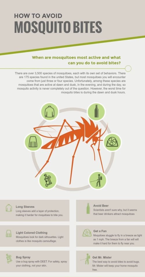 Mosquito Season Alert: How to Keep Those Pesky Insects at Bay