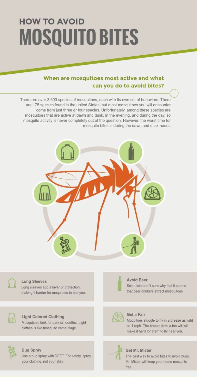Mosquito Season Alert: How to Keep Those Pesky Insects at Bay