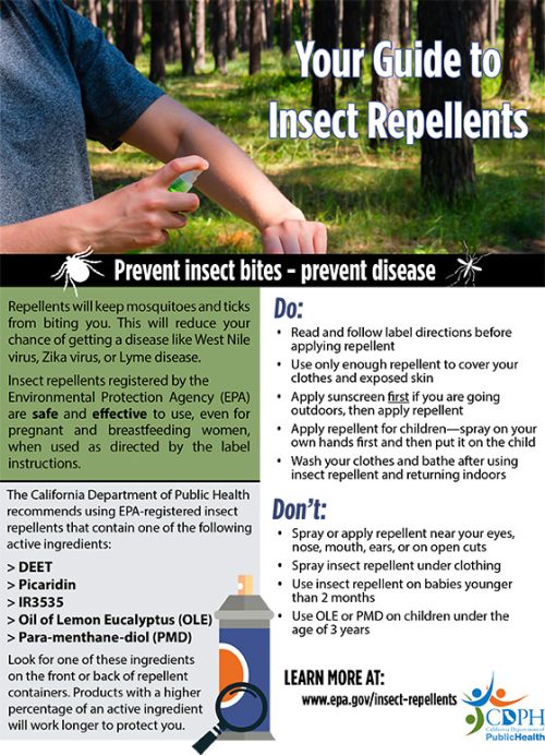 Mosquito Season Alert: How to Keep Those Pesky Insects at Bay