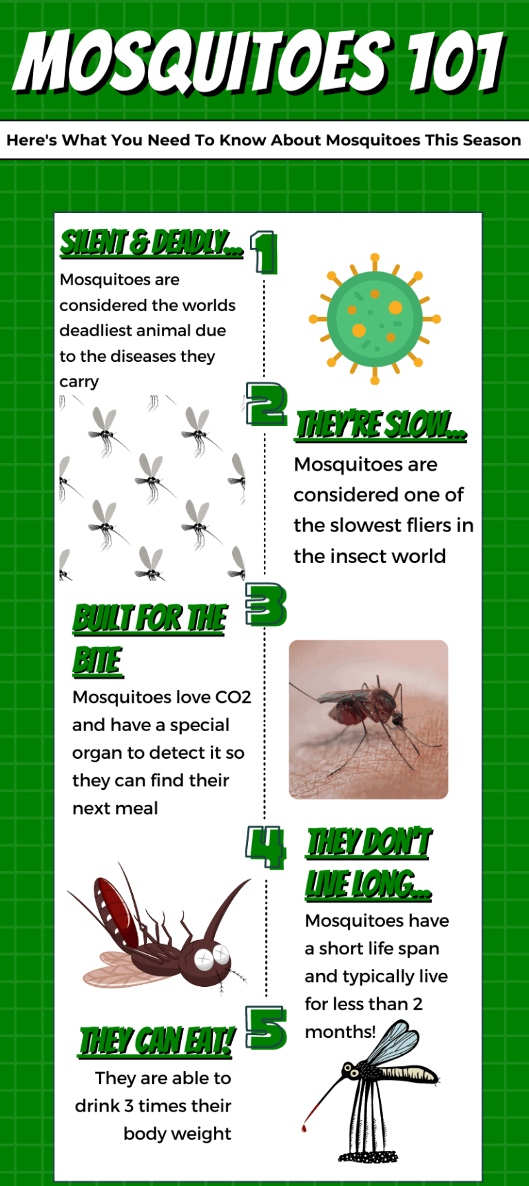Mosquito Season Alert: How to Keep Those Pesky Insects at Bay