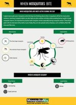 Mosquito Season Alert: How to Keep Those Pesky Insects at Bay
